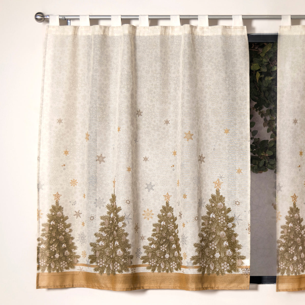 Vianney Cortinas D Pinos - Vianney México